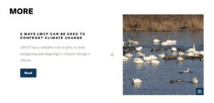 12 Blog Layout Examples (and Best Practices) in 2022: Blog Designs