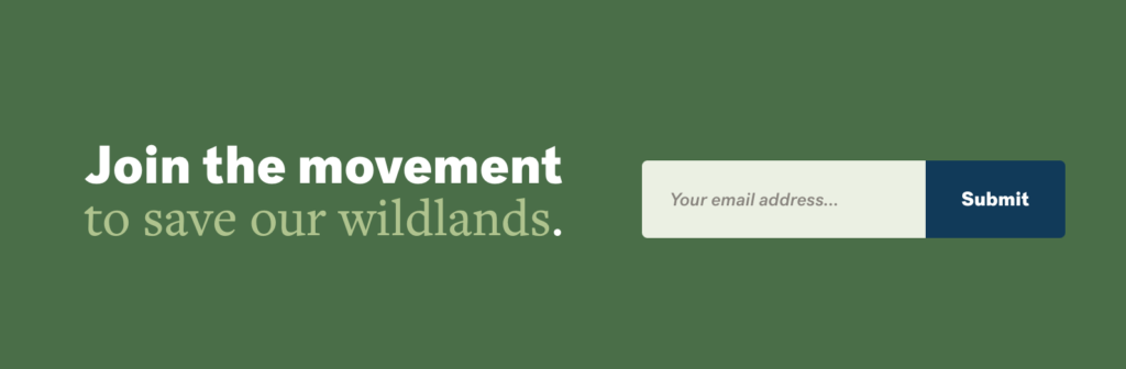 12 Blog Layout Examples (and Best Practices) in 2025: Blog Designs